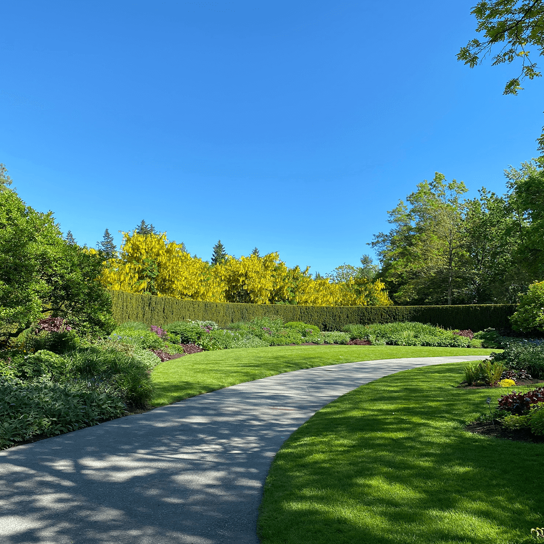 Best Certified Organic Humus Fertiliser - Humusoil